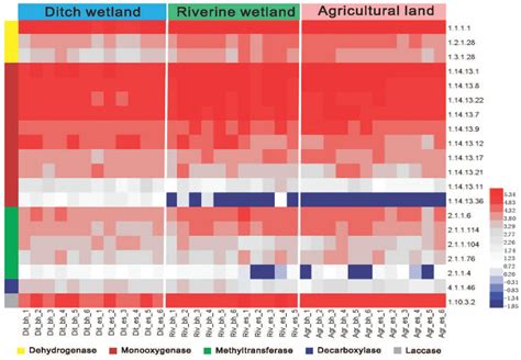 Heatmap Of Functional Profiles Inferred By PICRUSt In Three Land Use