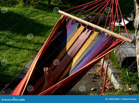 Hamac De Fauteuil à Bascule Avec Un Support En Bois Au Milieu Des