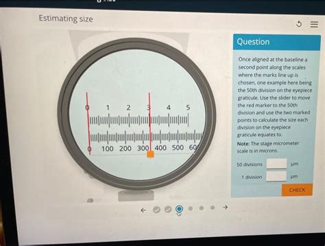 Solved Estimating Size Question Once Aligned At The Baseline Chegg