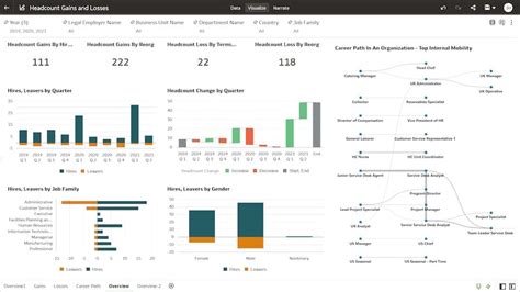 Fusion Analytics Data Visualization Oracle