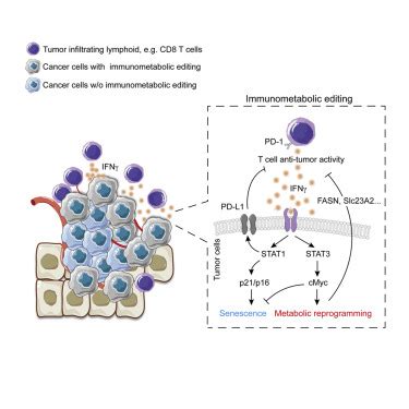 Immunoediting Instructs Tumor Metabolic Reprogramming To Support Immune