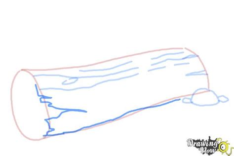 How To Draw A Log DrawingNow