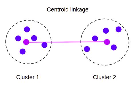 definitive guide to hierarchical clustering with python and scikit learn