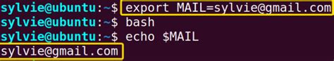 The Export Command In Linux 8 Practical Examples