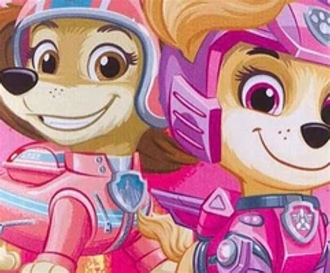 I Sharpened The Image And Surprise Its A Paw Patrol Skye Paw Patrol Pup