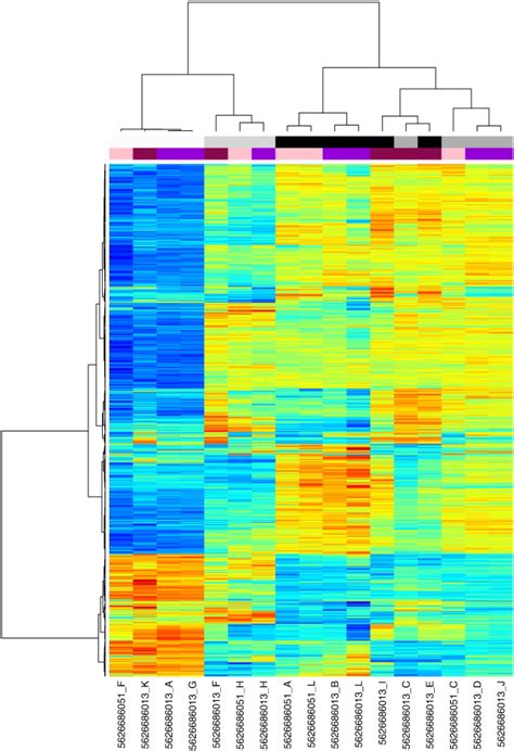 unsupervised hierarchical clustering of human ht 12v4 normalized download scientific diagram
