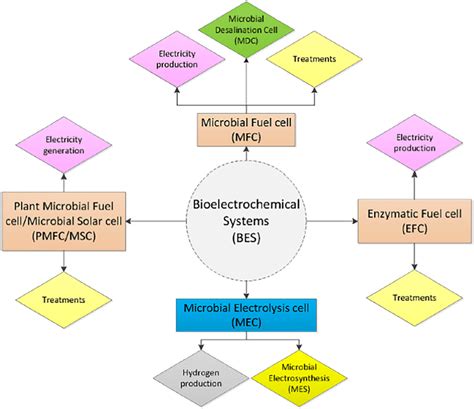 overview of various biochemical systems [33] download scientific diagram