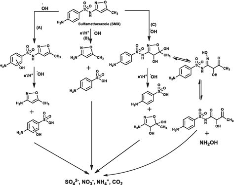 Proposed Pathway According To Hu Et Al Hu Et Al For The