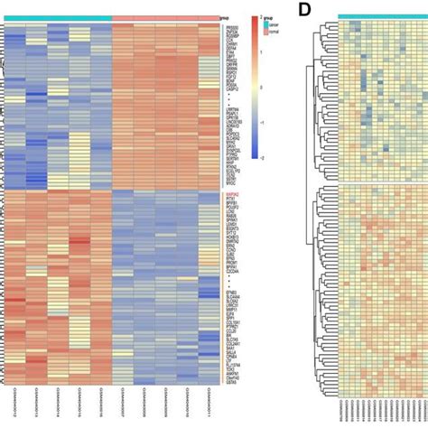 Screening Of Differentially Expressed Genes DEGs A B Volcano