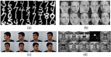 figure 1 from graph regularized non negative low rank matrix factorization for image clustering