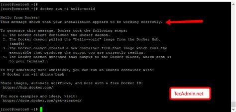 How To Install Docker On Centos Rhel 8 Tecadmin Tecadmin
