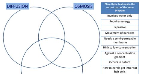 Diffusion Osmosis Active Transport Venn Diagram Google Slides