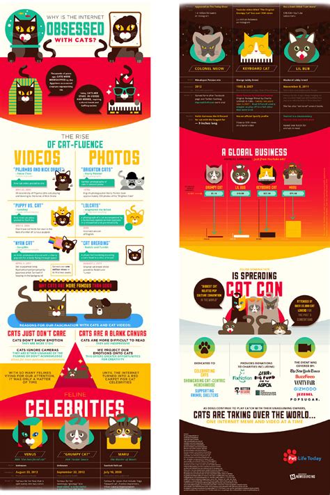 らくらくメ Infographic Design The Art of Charts 1oBHF m46731093943 ください