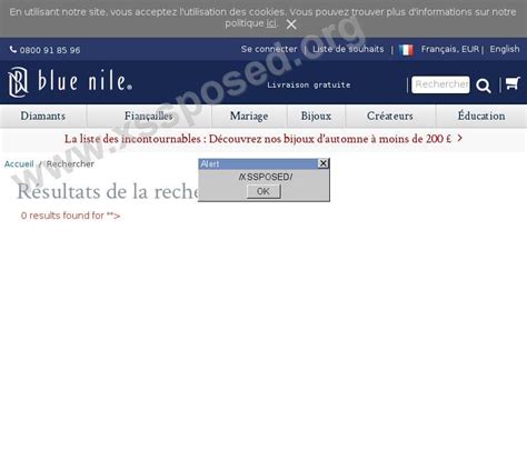 All Vulnerabilities For Bluenile Patched Via Open Bug Bounty