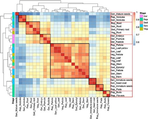 Global Gene Expression Patterns Among Different Chickpea Tissues