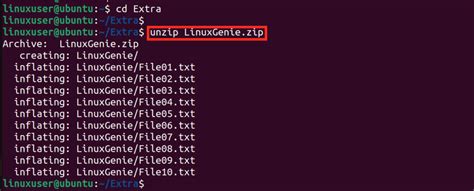 How To Unzip A Zip File In Ubuntu 22 04 Linux Genie