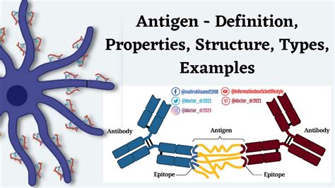 Immunology Lecture Antigens Definition Properties Structure