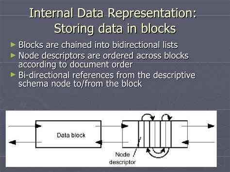 sedna xml database system internal representation