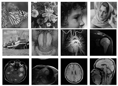 an entropy based algorithm with nonlocal residual learning for image compressive sensing recovery