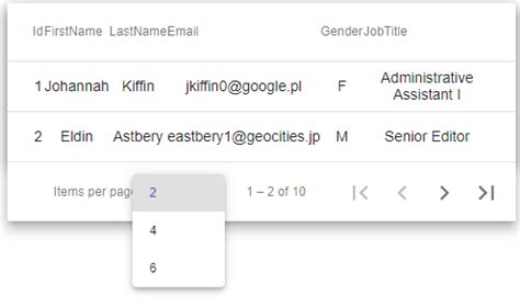 Adding Pagination To The Mat Table Using Mat Paginator In Angular Material