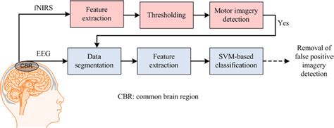 frontiers hybrid brain computer interface techniques for improved classification accuracy and