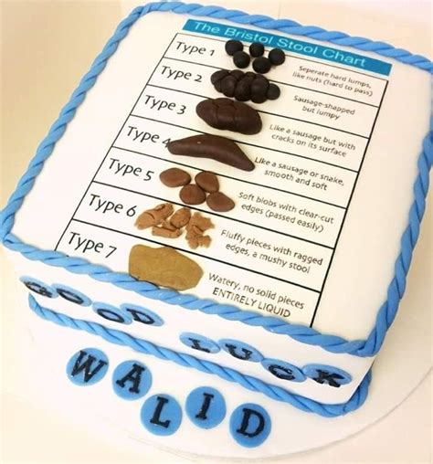 Bristol Stool Chart Cake
