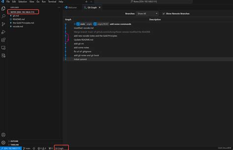 Vscode Remote Ssh 解决远程项目无法使用 Git Graph 插件vscode Unable To Load Git Graph Csdn博客