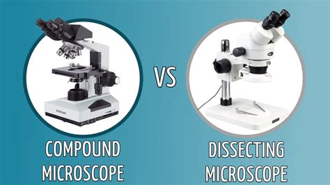 Compound Vs Dissecting Microscope What S The Difference Optics Mag