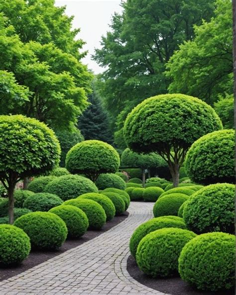 20 Lush Landscaping Ideas With Beautiful Bushes Toolz Geek In 2024