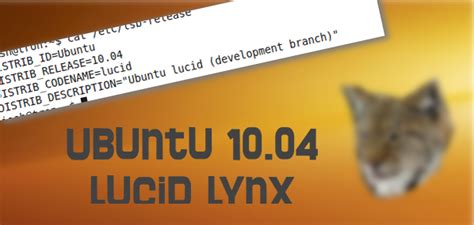 15 novidades do ubuntu 10 04 lucid lynx