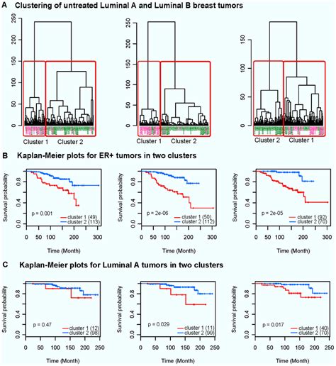 Results Of Clustering And Survival Analysis A Clustering Results Of