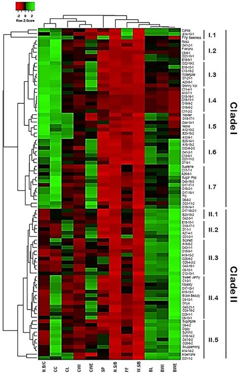 hierarchical clustering of the different evaluated traits of muscadine download scientific