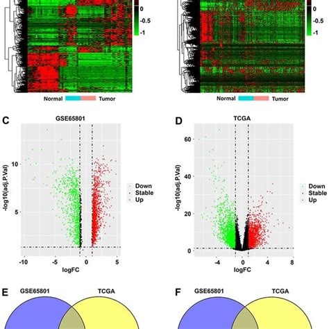 Identification Of Differentially Expressed Genes DEGs In GC A B