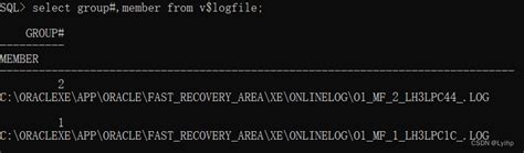 oracle数据库的体系结构 上 ——存储结构 oracle 数据文件 存储 结构 csdn博客
