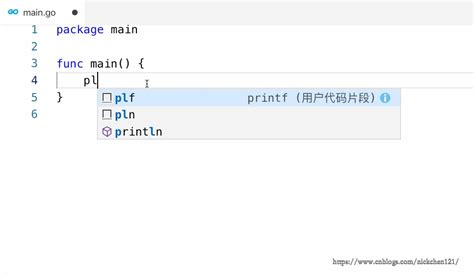 vs code配置go语言开发环境的详细教程 golang roadmap · 知识星球