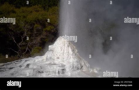 New Zealand Lady Knox Geyser Squirting Into Air On Summers Day Stock Video Footage Alamy