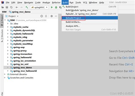 报错Error Module spring mvc demo production java lang