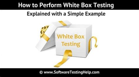 white box testing a complete guide with techniques examples and tools