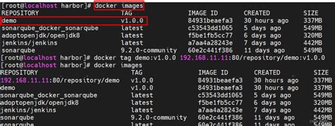 devops概念及搭建全过程（jenkins、harbor、sonarqube、k8s） devops流程 csdn博客