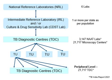 Cdst Lt Diagnostic Network And Hierarchy In Ntep Knowledge Base