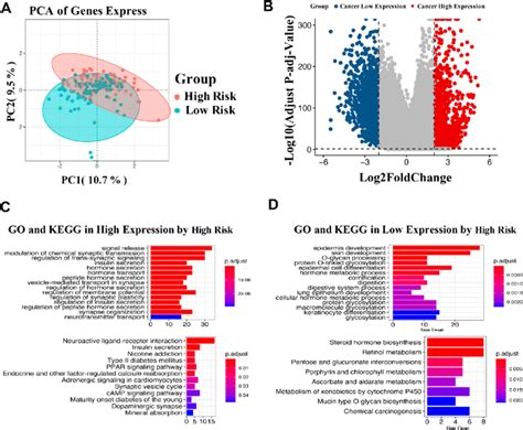 Differential Gene Expression Analysis In CMS Principal Component