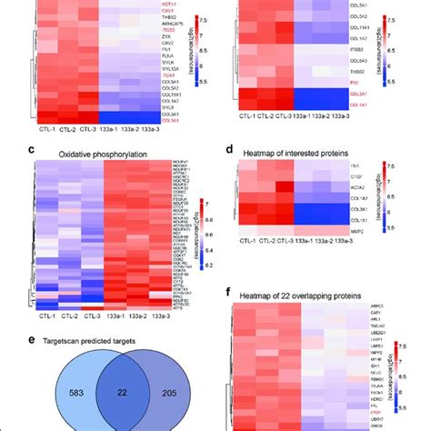Quantitative Proteomics And KEGG Pathway Enrichment Analysis A