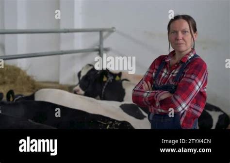 Female Farmer In Cow Shed On A Dairy Livestock Farm Portrait Of Satisfied Proud Cowgirl With