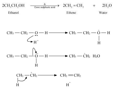 Write The Mechanism Of Acid Dehydration Of Ethanol To Yield Ethene