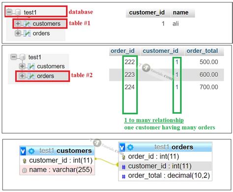 One To Many Relationship Examples In Database T4Tutorials