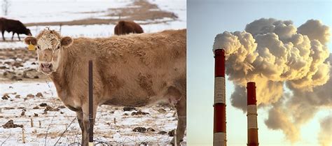 Causes Of Global Warming List WorldAtlas
