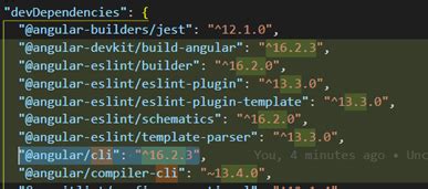 Package Json Updating Angular Packages With Ng Update To Version 13