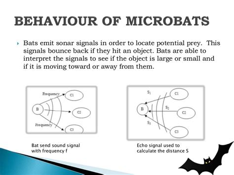 bat algorithm and applications