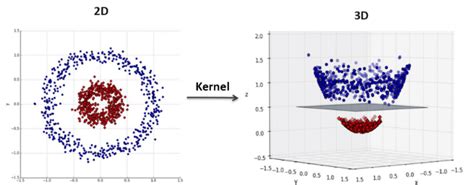linear discriminant analysis explained by yang xiaozhou towards data science