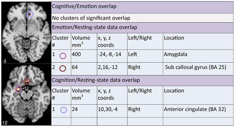 Frontiers A Meta Analysis Of Changes In Brain Activity In Clinical